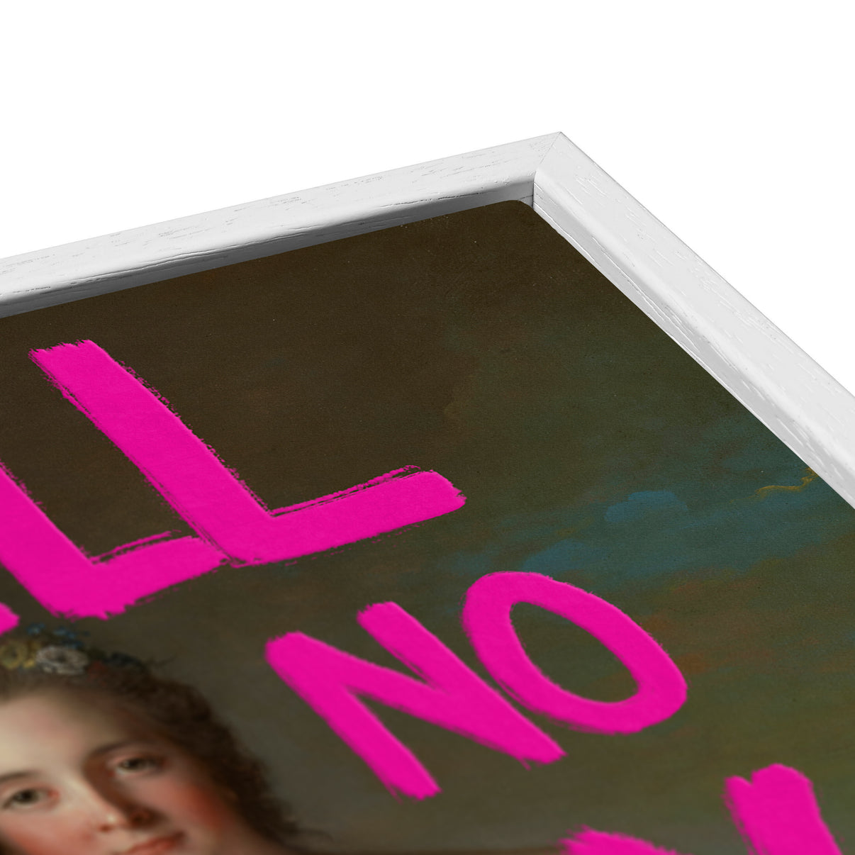 Quirky Pink Canvas Art Prints - Hell Has No Fury Like a Woman Scorned ...